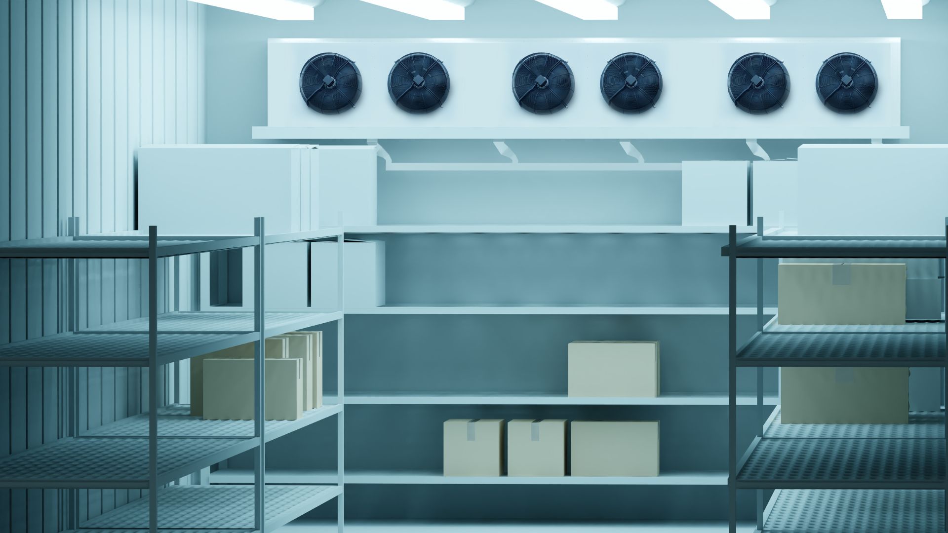 Walk-in Freezers: Things to consider when choosing the ideal one for ...